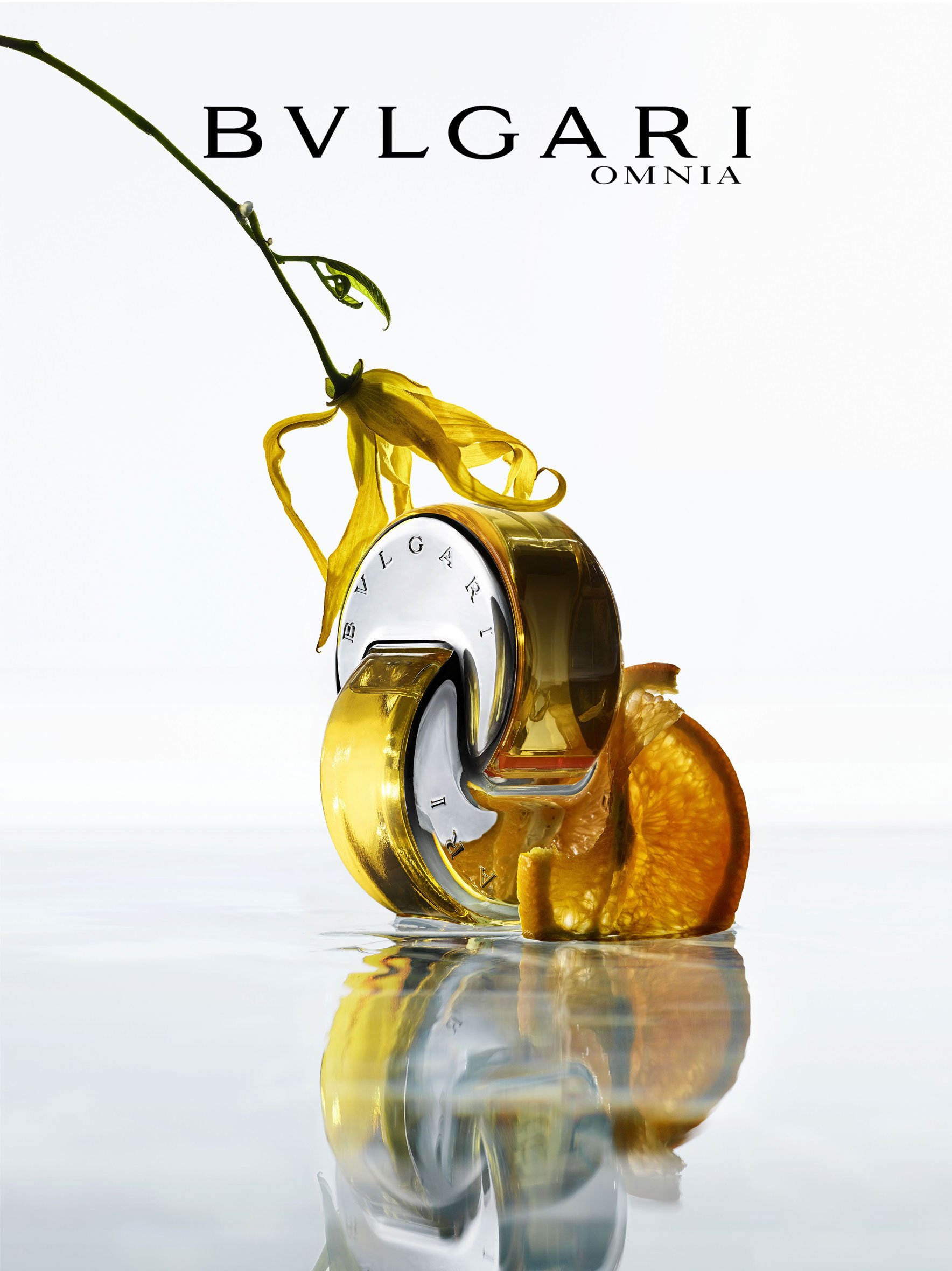 SO Represent – BVLGARI OMNIA